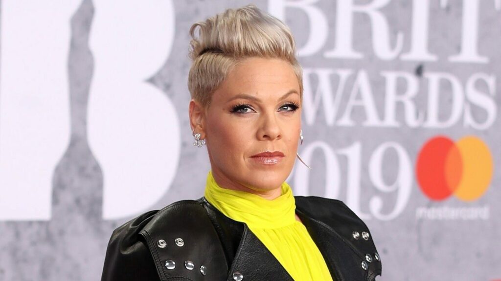 Pink recordó cómo fue filmado su primer video musical ¡Mirá lo que ...