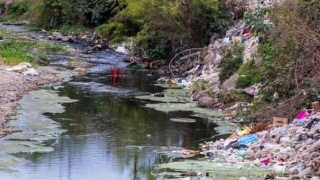 Río Arenales: siguen las dudas por la muerte de los peces - Salta 4400